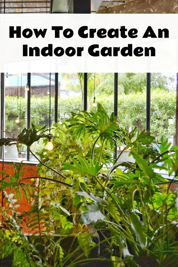 5 Ways You Can Build a Garden Inside Your House - Shopping Kim